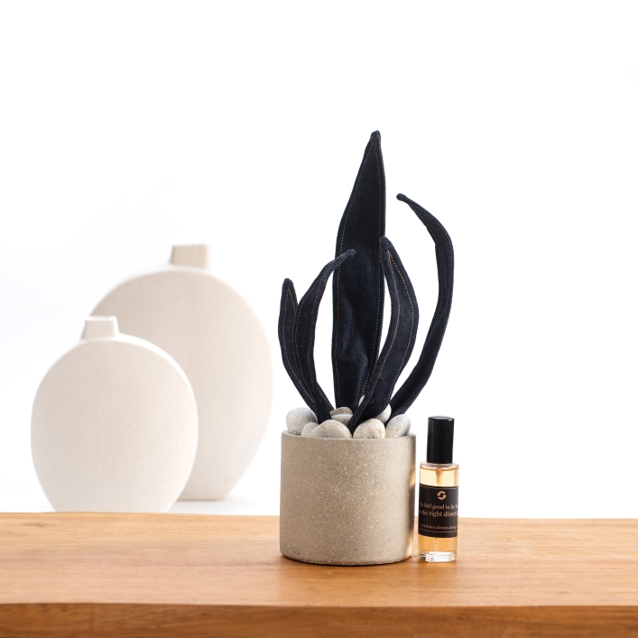 The Stitches - Home Page - The Stitches